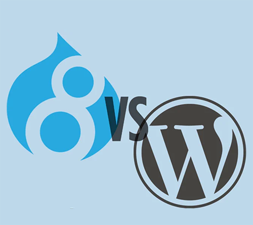 Vectus Web development