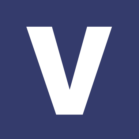 Vectus Web development